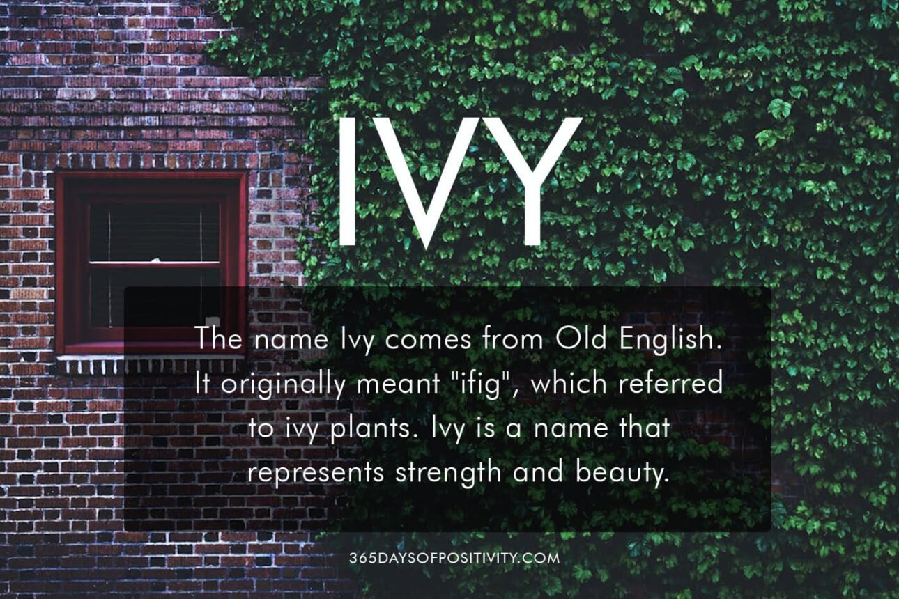 The Spiritual Meaning of The Name Ivy - 365 Days of Positivity